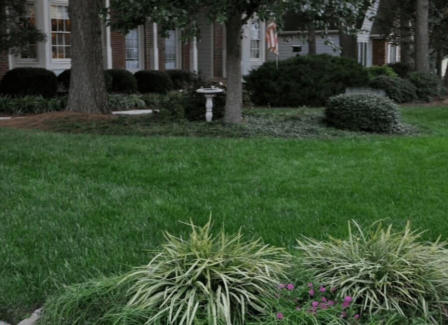 GrassMaster - 20+ Years of Raleigh Landscaping, Lawn Care