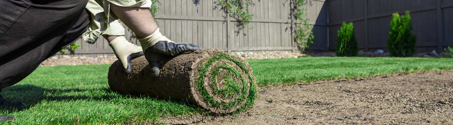 Landscaping Images - GrassMaster of Wake County