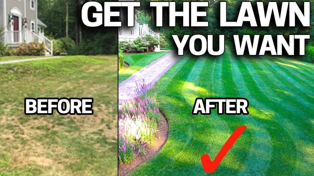Weed Control - Effective Strategies You Need To Know - GrassMaster of ...